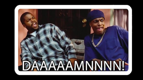 DAAAAAMNNNN Meme Vinyl Sticker or Magnet from the movie | Etsy