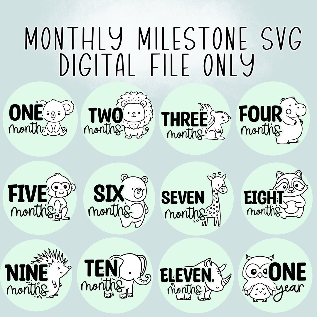 Monthly Milestone Boards SVG Digital File Laser Ready - Etsy