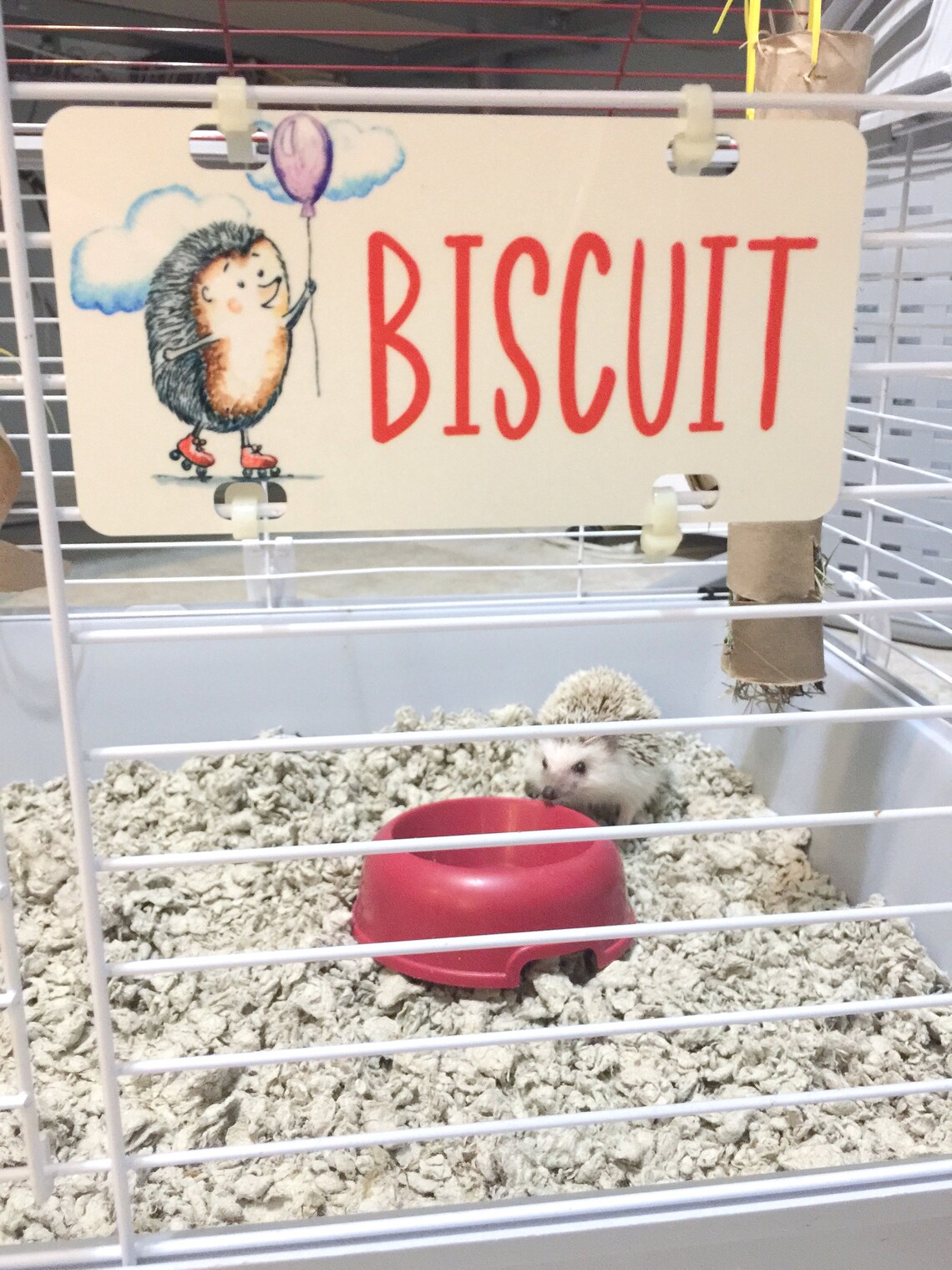 Personalized Hedgehog Name Plate / Hedgehog Sign / Cage - Etsy