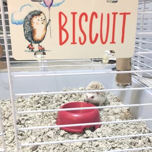Personalized Hedgehog Name Plate / Hedgehog Sign / Cage Accessory ...