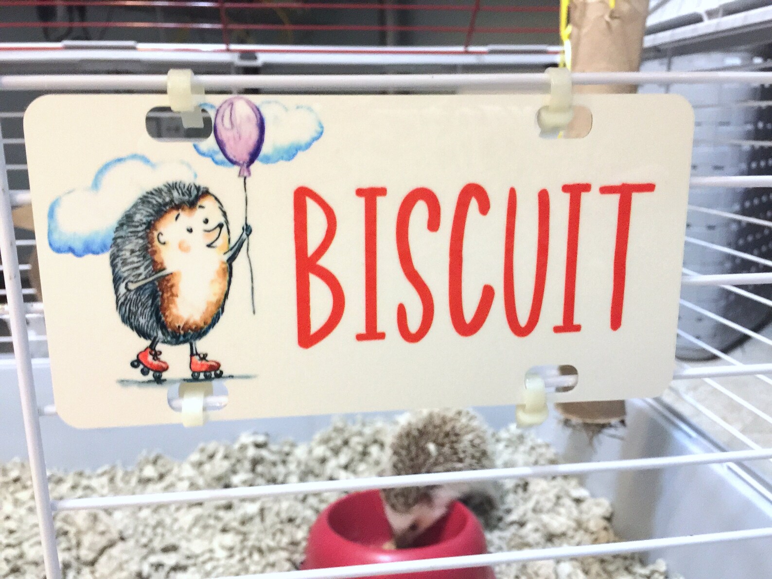 Personalized Hedgehog Name Plate / Hedgehog Sign / Cage - Etsy