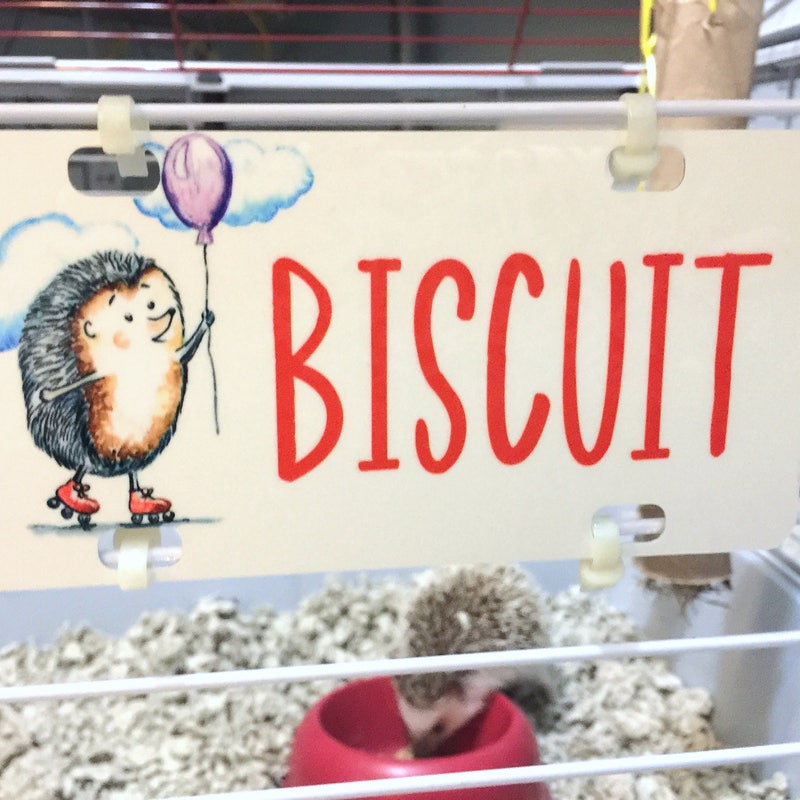 Hedgehog Accessories - Etsy