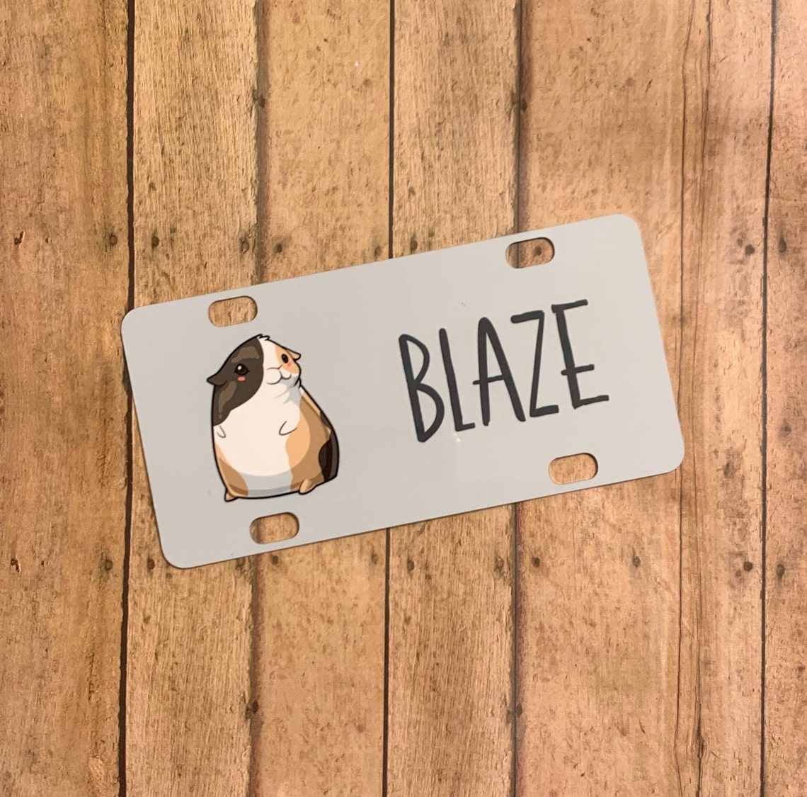 Personalized Guinea Pig Nameplate / Guinea Pig Sign / Cage - Etsy