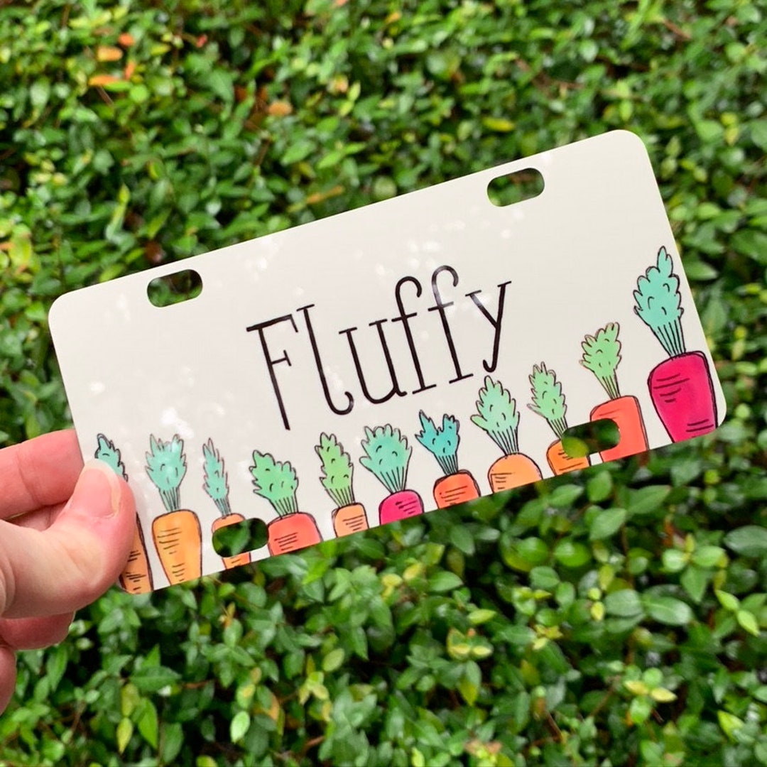 Personalized Carrot Rabbit Hutch Sign / Rabbit Mom Gift / Cage ...