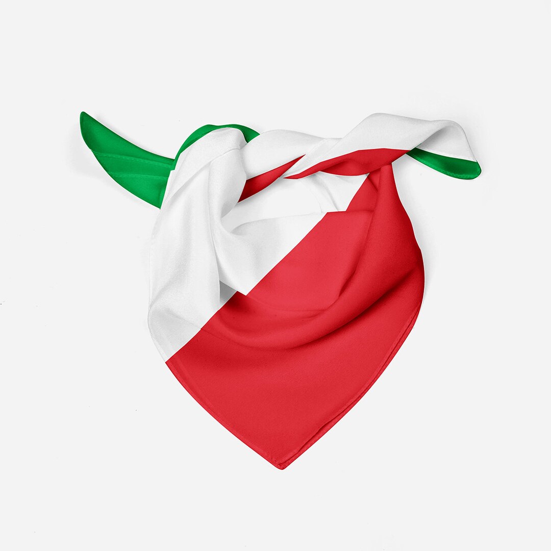 Awesome Vintage Silk Motorcycle Scarf - Tricolore - Awesome and Unique ...