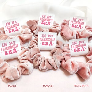 In My Friendship Era, Birthday Party Favor, Eras Tour Party Favors, Era ...