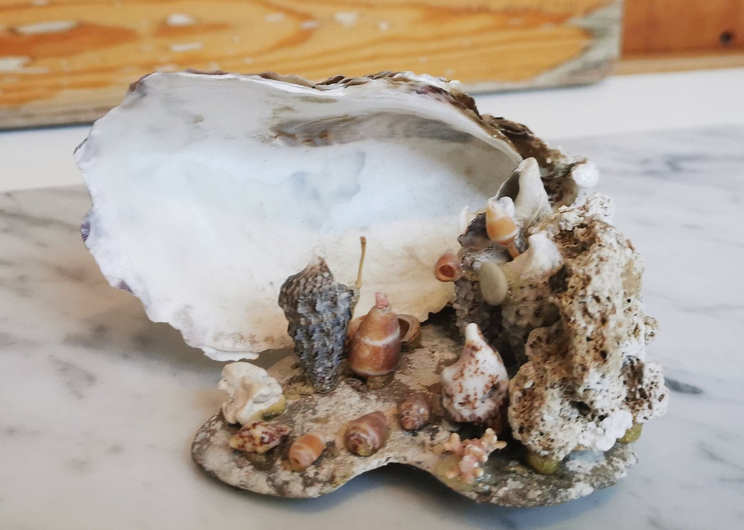 Handcrafted Shell Nativity Unique Christmas Decoration in Sea Shells ...
