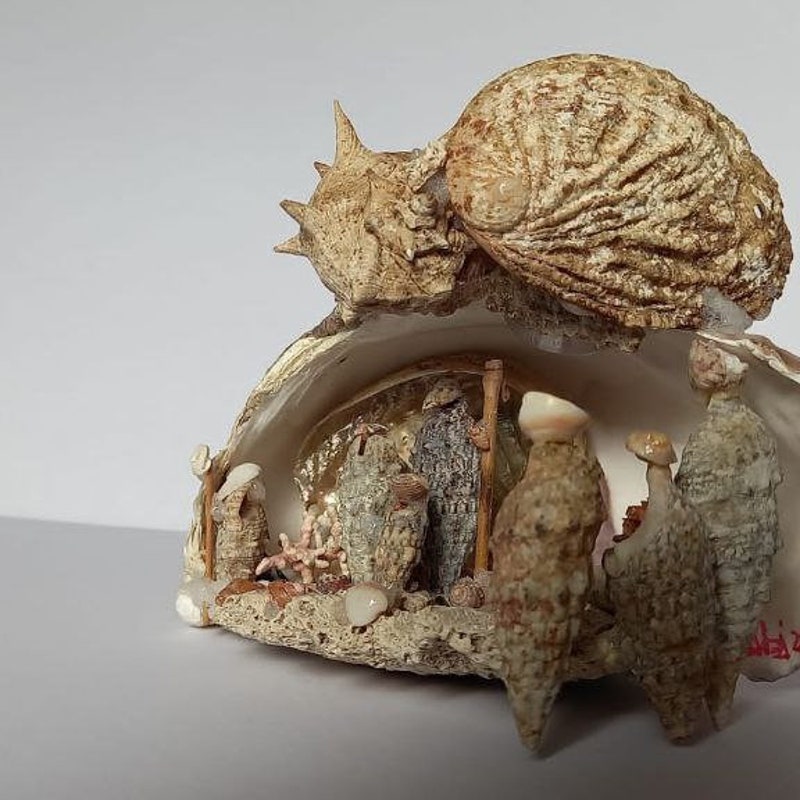 Sea Shell Decorations - Etsy