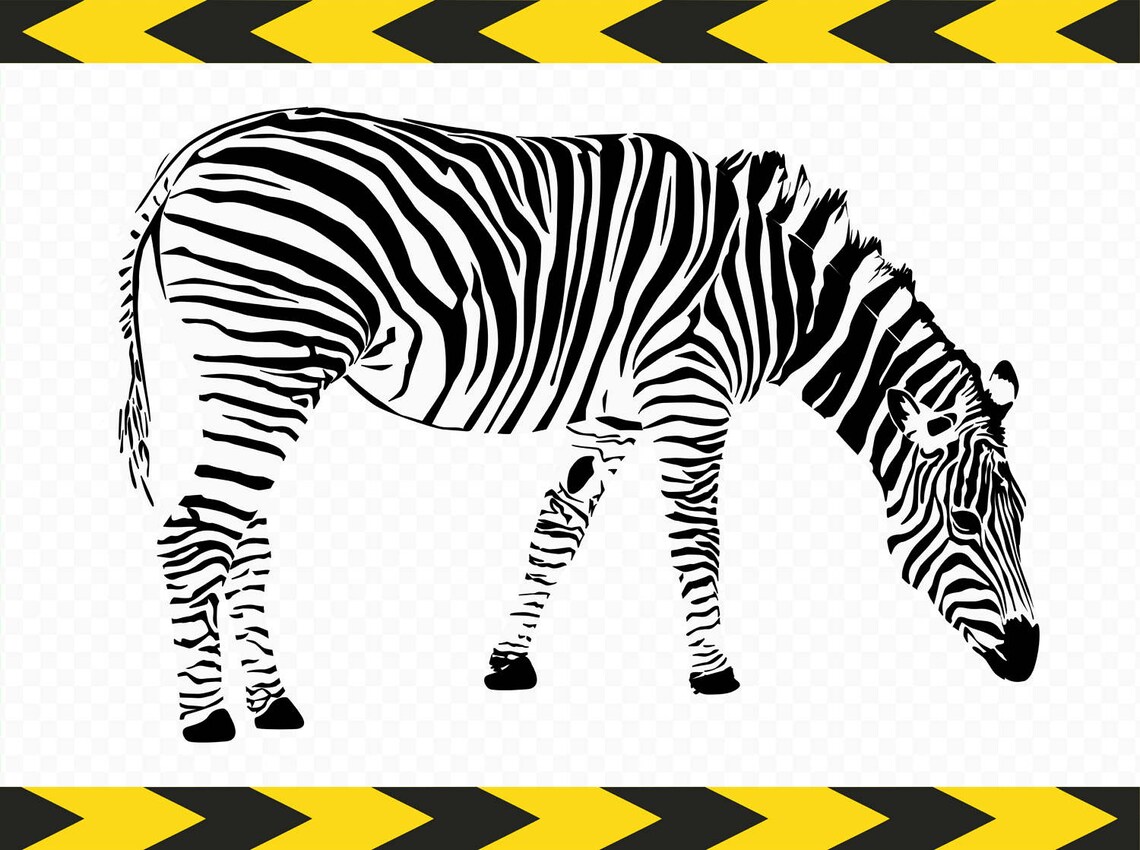 Zebra SVG Zebra Print Decor PDF DXF Png Cut Files for Cricut - Etsy