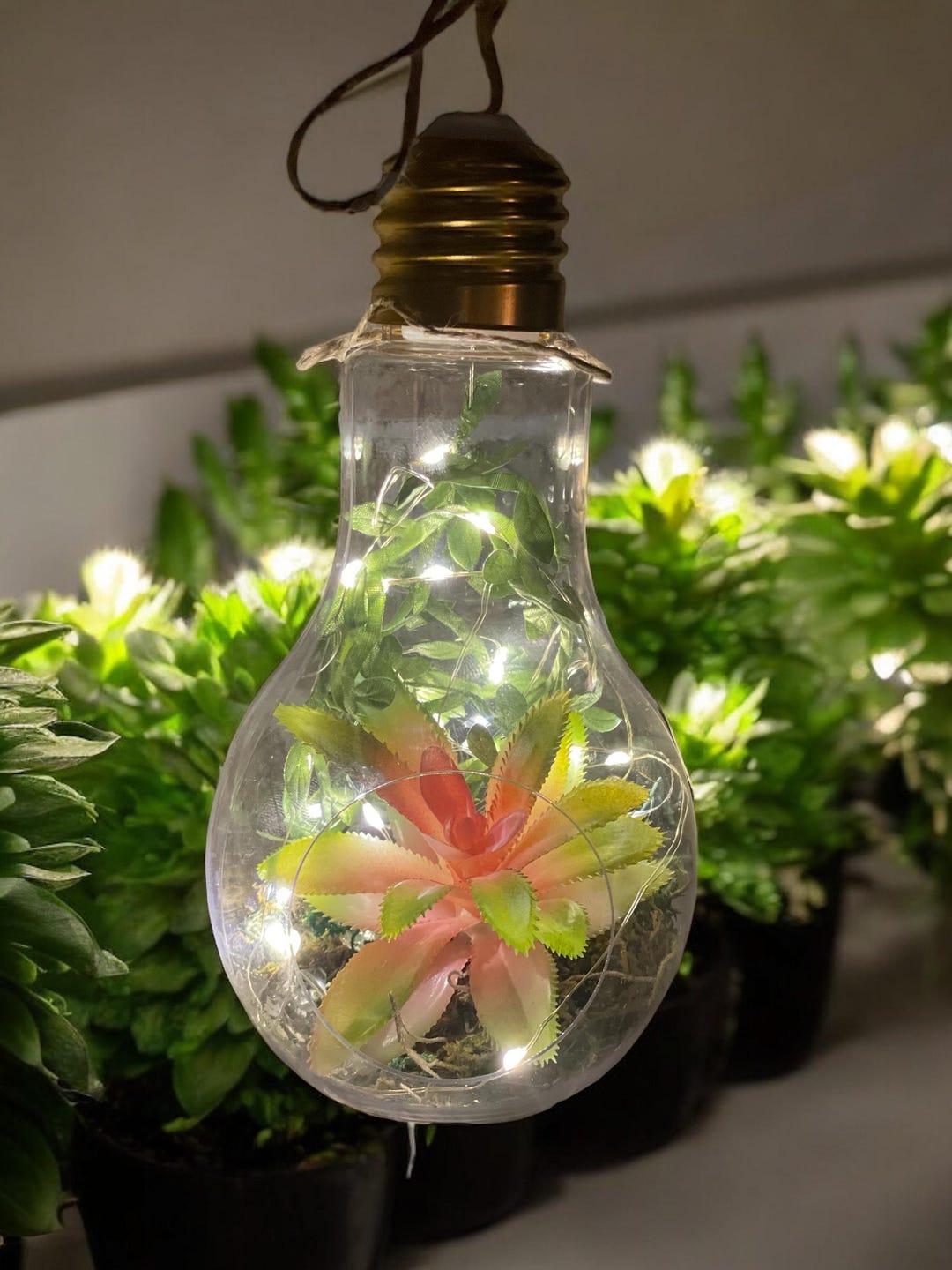 Terrarium Plant Light Bulb