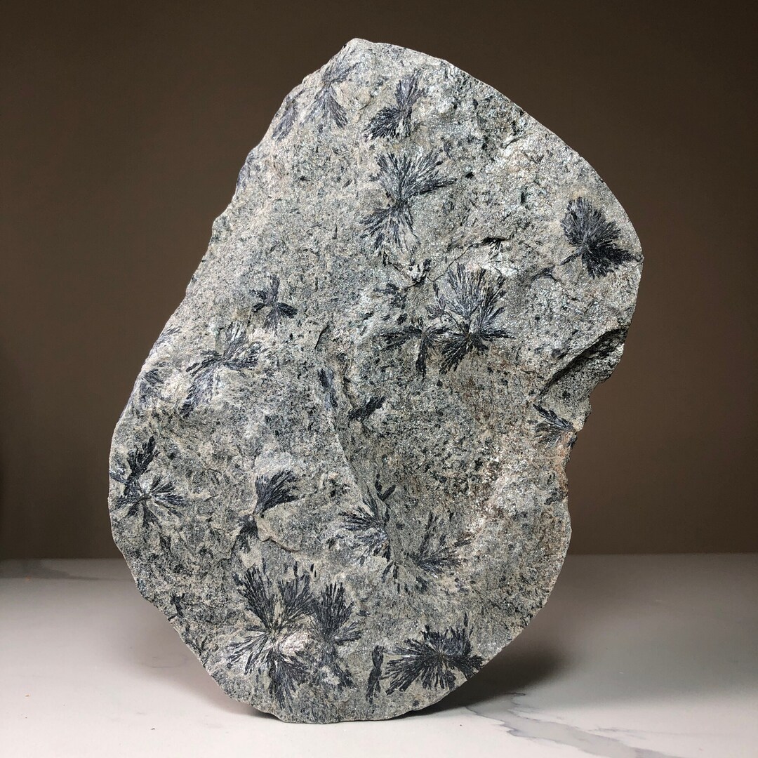 Holmquistite Holmquistite Crystals on Matrix From China - Etsy