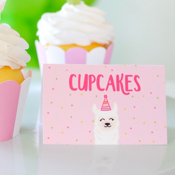 Llama Birthday Party - Etsy