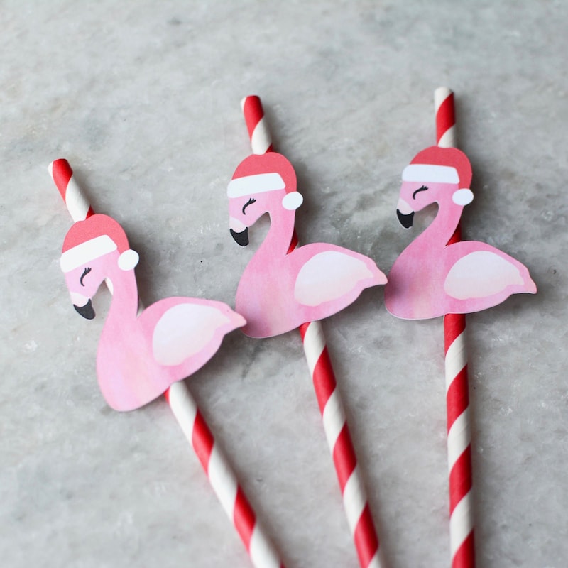 Flamingo Straws - Etsy