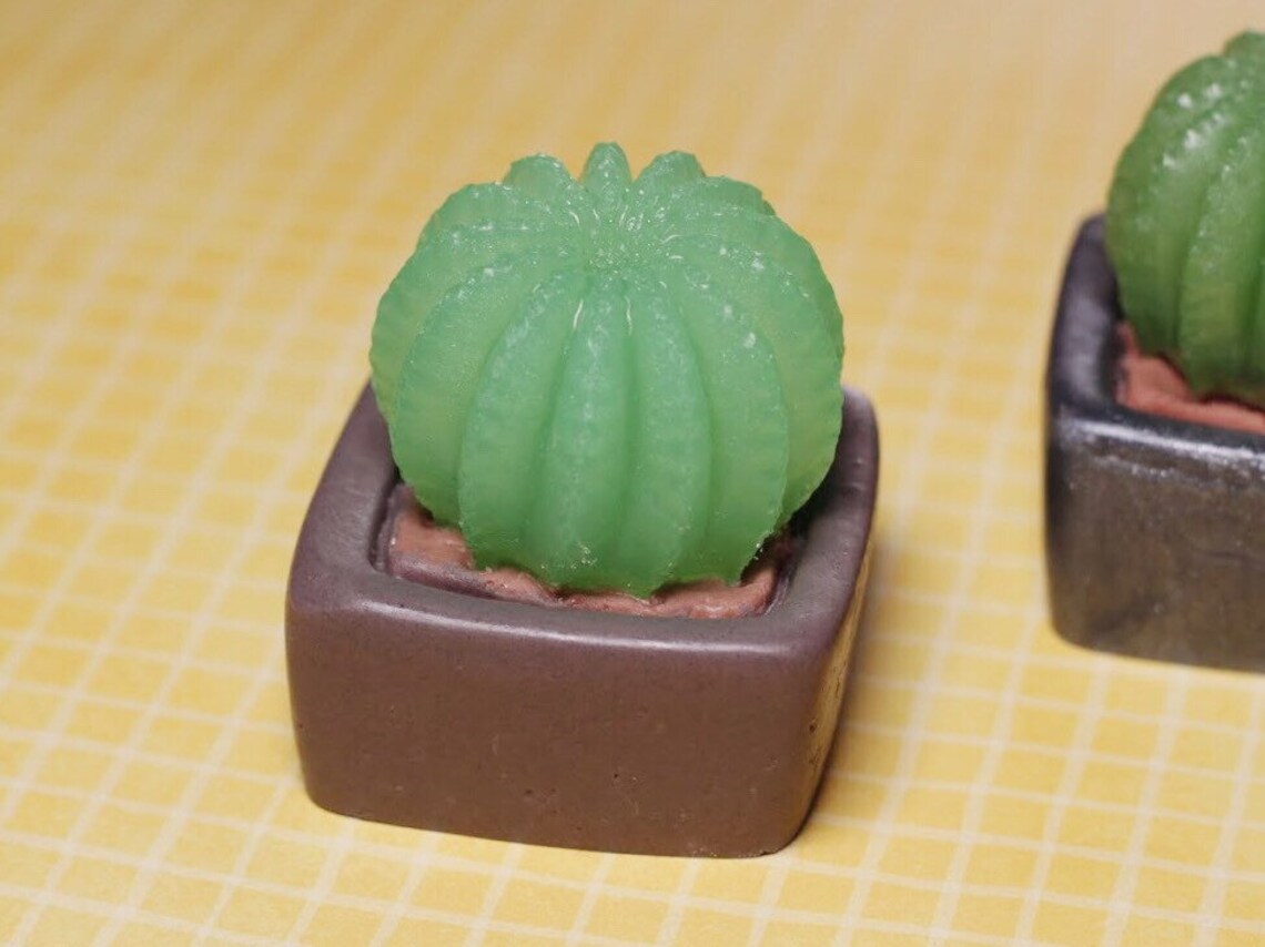 Cactus Soap Cactus in Pot Soap Plant Soap Vegan Soap Super | Etsy