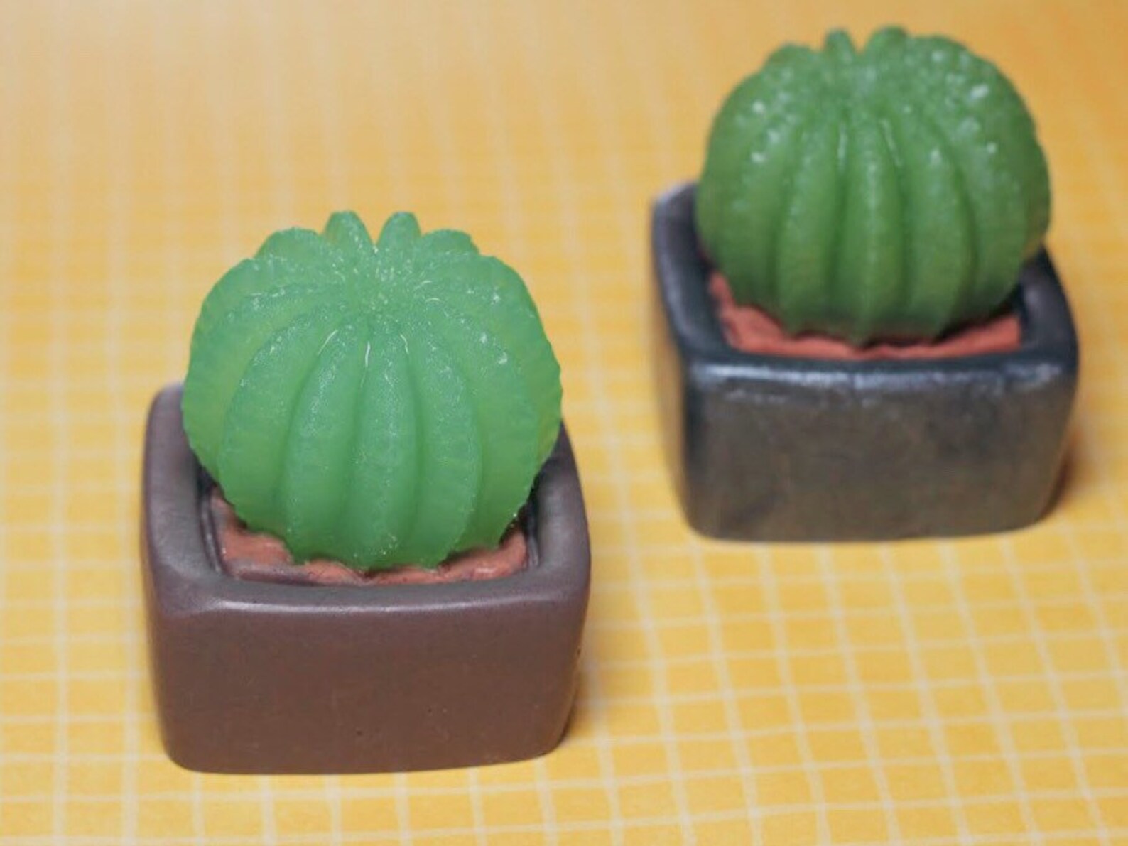 Cactus Soap Cactus in Pot Soap Plant Soap Vegan Soap Super | Etsy