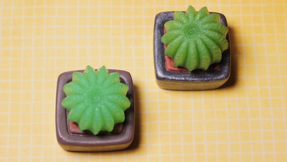 Cactus Soap Cactus in Pot Soap Plant Soap Vegan Soap Super | Etsy