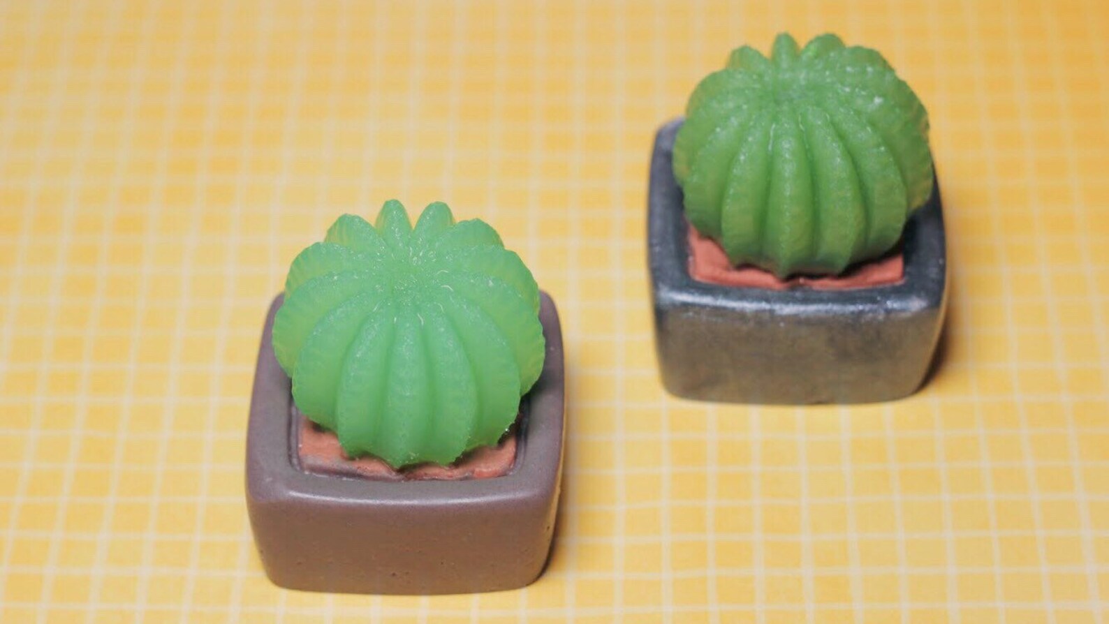 Cactus Soap Cactus in Pot Soap Plant Soap Vegan Soap Super | Etsy