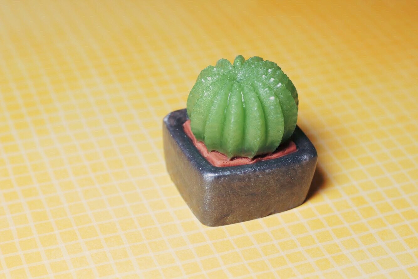 Cactus Soap Cactus in Pot Soap Plant Soap Vegan Soap Super | Etsy