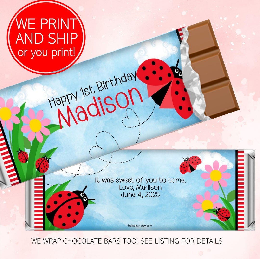 Lady Bug Party Girl's 1st First Birthday Favors, Custom Personalized ...