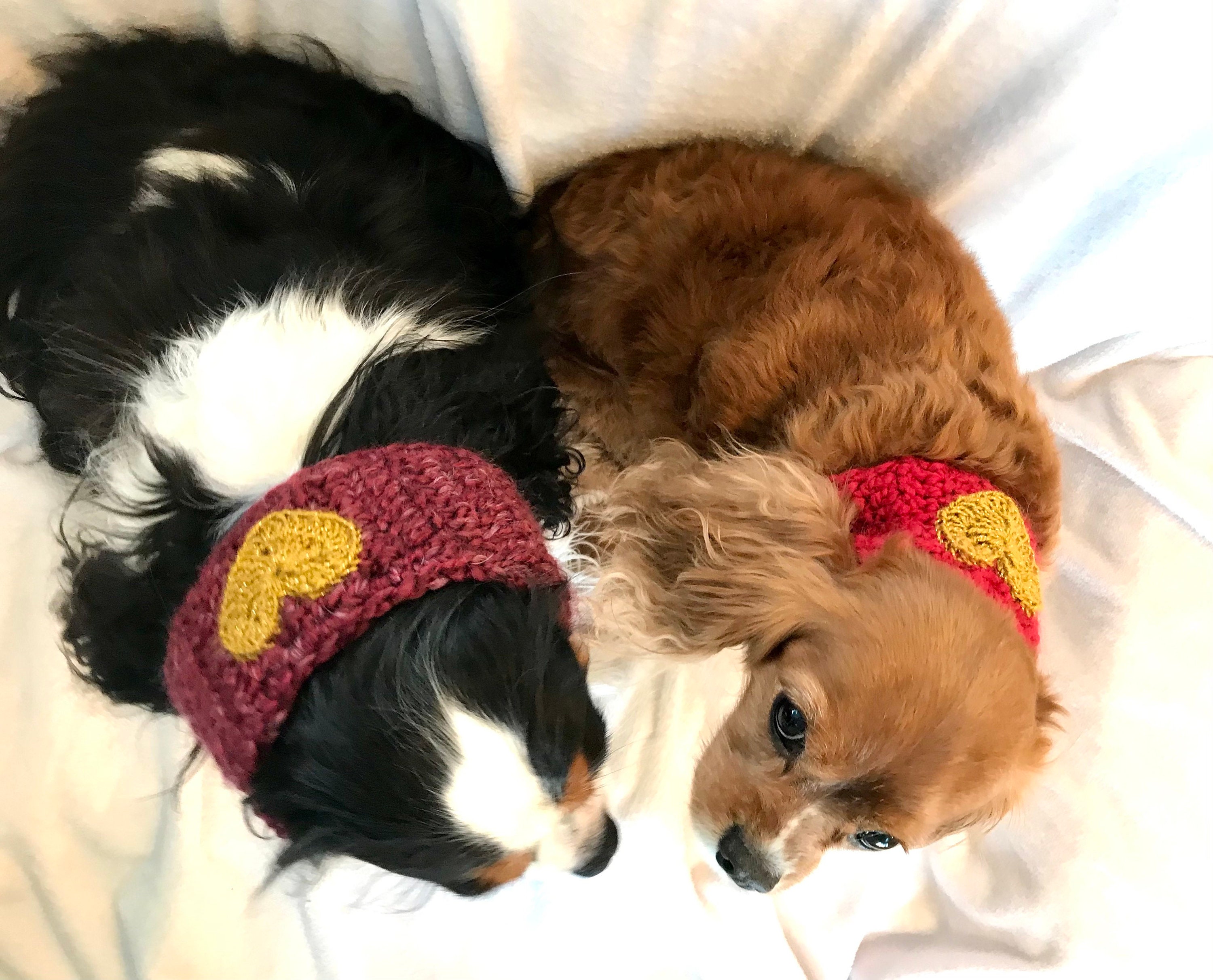 Dog Neckband/headband/snood-made to Your Measurements - Etsy