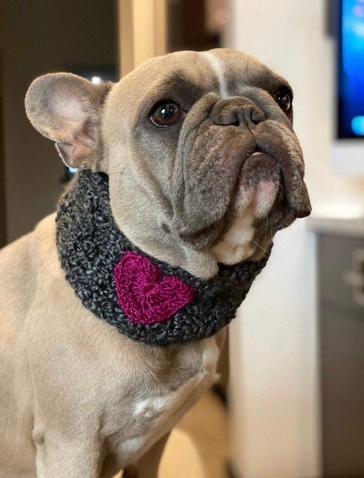 Dog Neckband/headband/snood Made to Your Measurements | Etsy