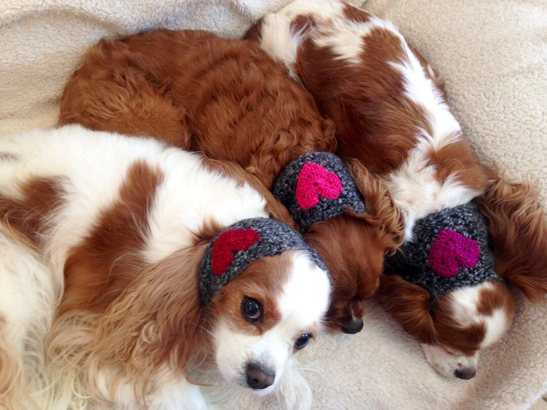 Dog Neckband/headband/snood- Made to Your Measurements! - Etsy