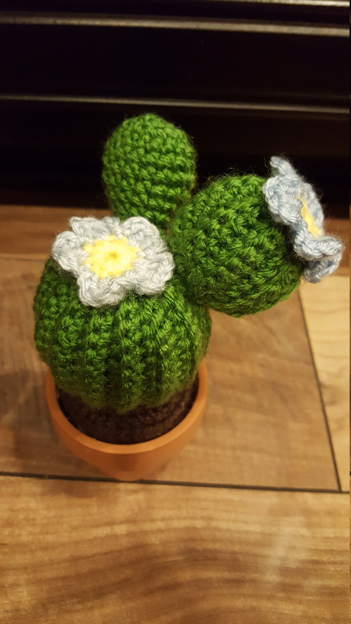 Crochet Cactus - Pattern Only - Etsy
