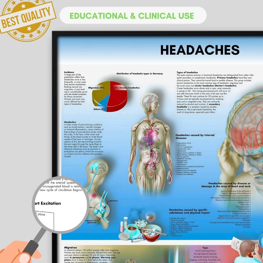 Headaches Poster Anatomy Human Biology Poster Medical Student Poster ...