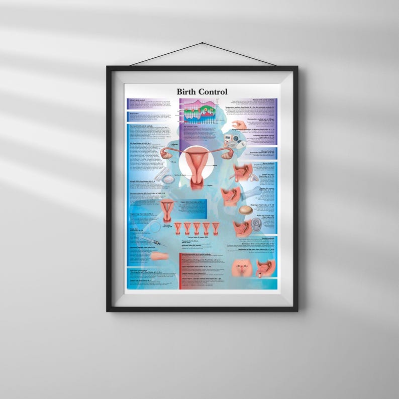 Birth Control Chart Anatomy Human Physiology Charts Medical Student ...