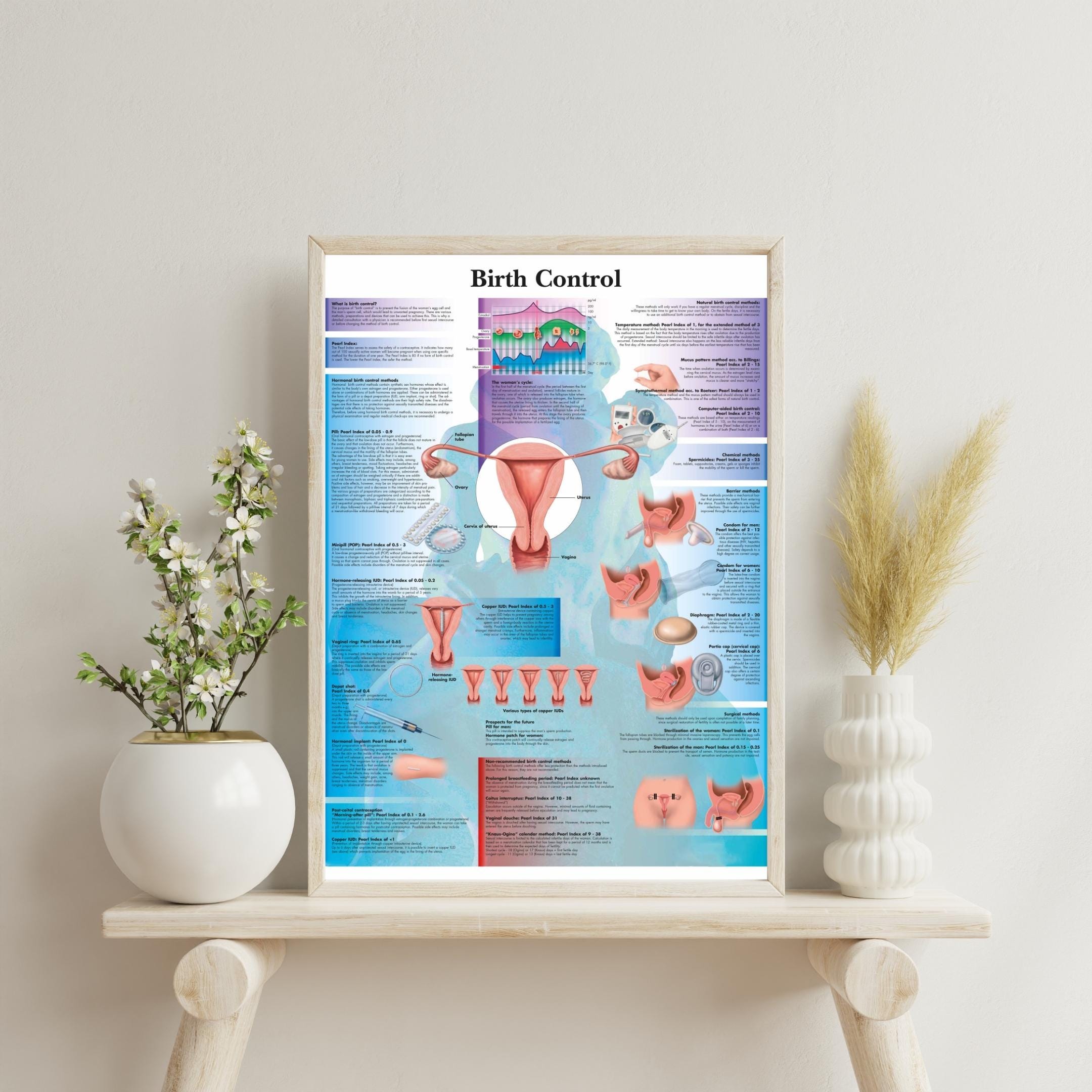 Birth Control Chart Anatomy Human Physiology Charts Medical Student ...