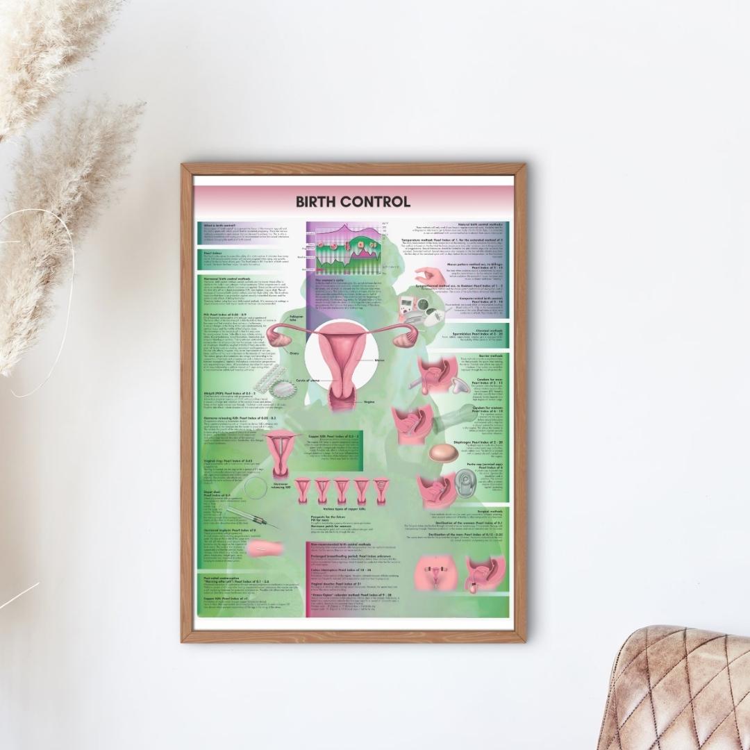 Birth Control Poster Anatomy Human Biology Poster Medical Student ...