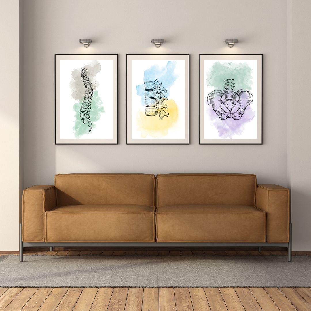 Human Body Anatomy Lumber Spine Cord and Pelvis Art for Chiropractor or ...