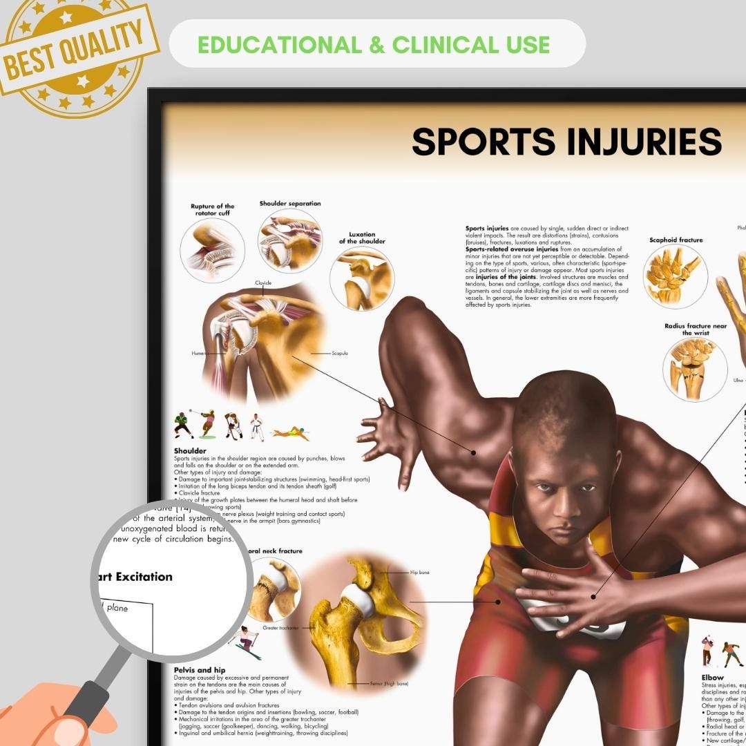 Sports Injuries Poster Anatomy Human Biology Poster Medical Student ...