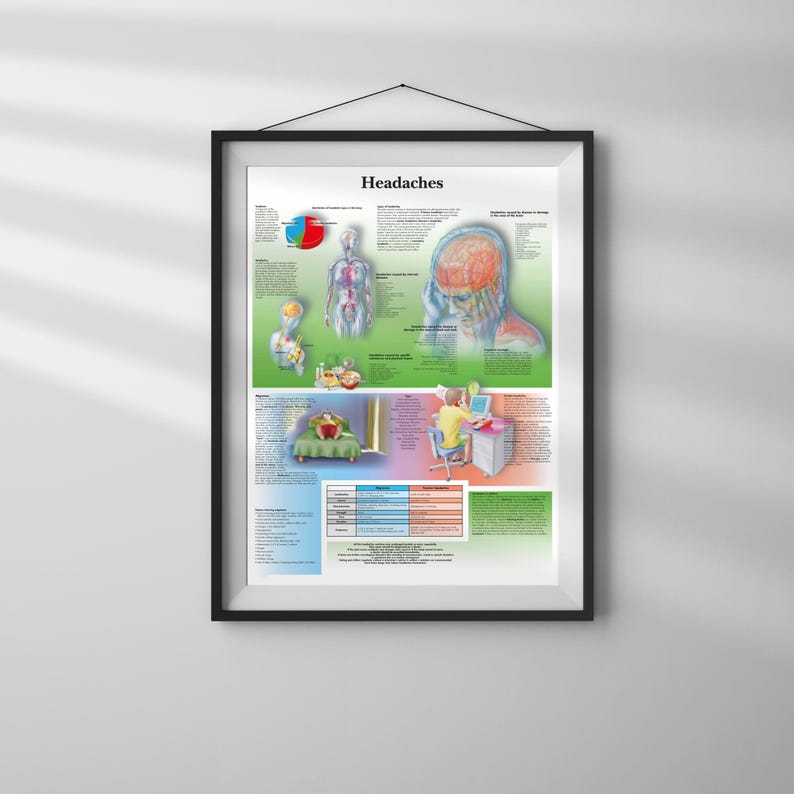 Headaches Chart Anatomy Human Physiology Charts Medical Student Wall ...