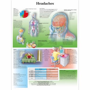 Headaches Chart Anatomy Human Physiology Charts Medical Student Wall ...