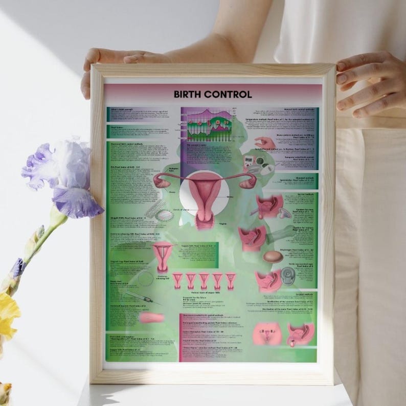 Birth Control Chart Anatomy Human Physiology Charts Medical Student ...