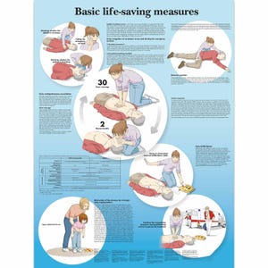 Basic Life Saving Measures Chart Anatomy Human Physiology Charts ...