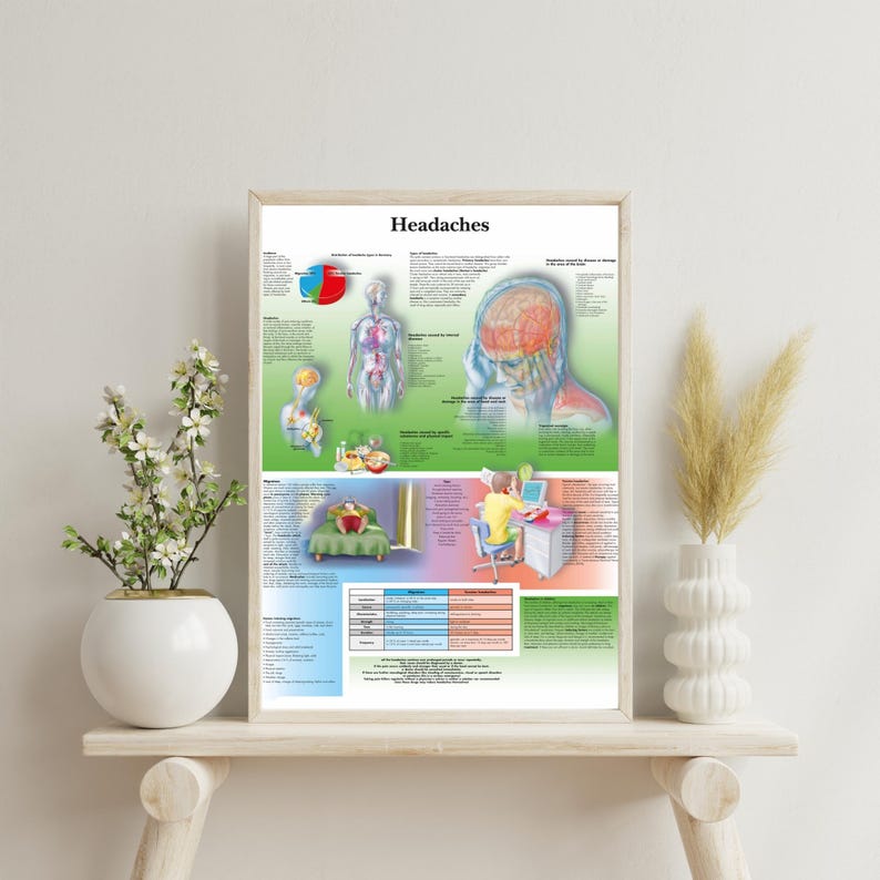 Headaches Chart Anatomy Human Physiology Charts Medical Student Wall ...
