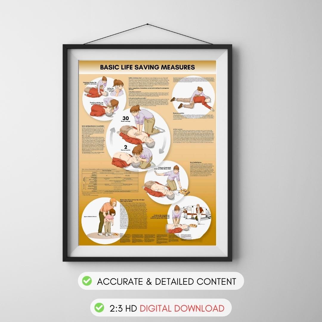 Basic Life Saving Measures Poster Anatomy Human Biology Poster Medical ...