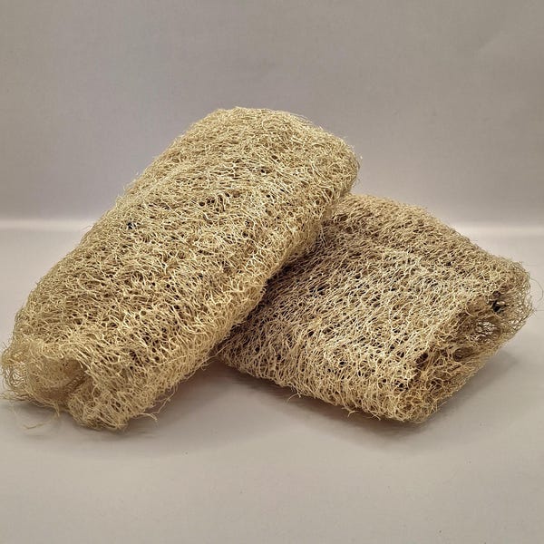 Luffa Sponge - Etsy