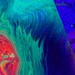 Neon Dreams: Glo Collection - Etsy