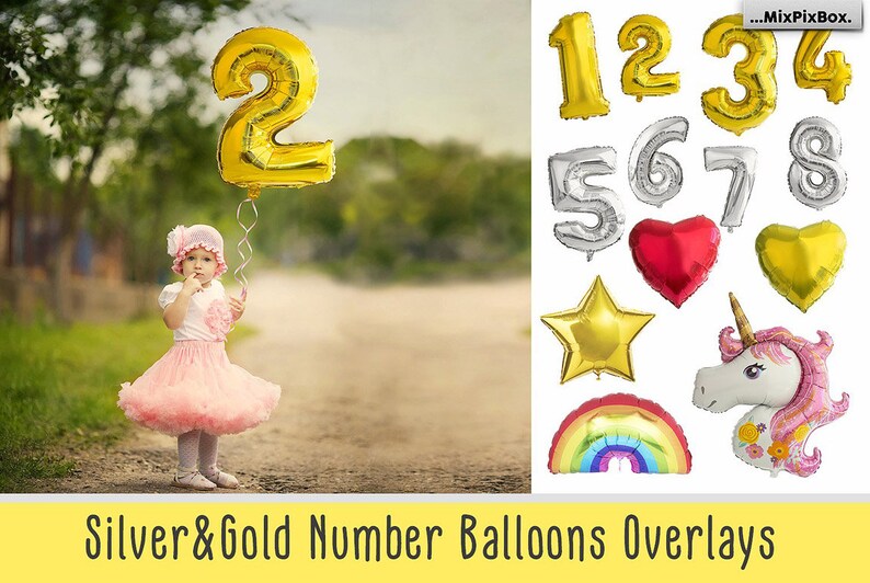 Shaped Number Balloons Overlays - Etsy