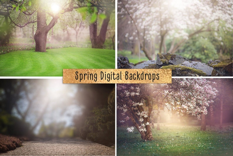Spring Digital Backdrop - Etsy