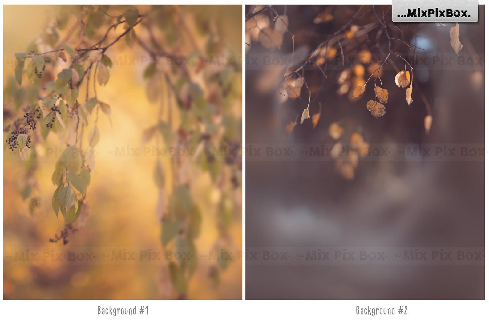 Autumn Portrait Backgrounds - Etsy