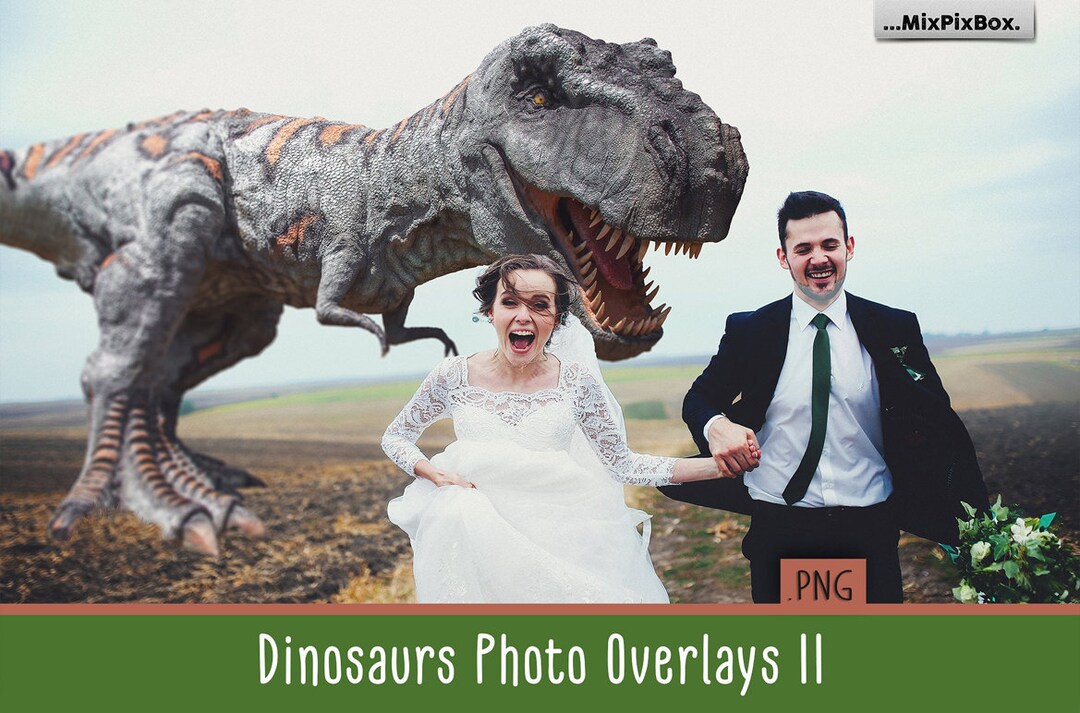 Dinosaur V.2 Overlays - Etsy