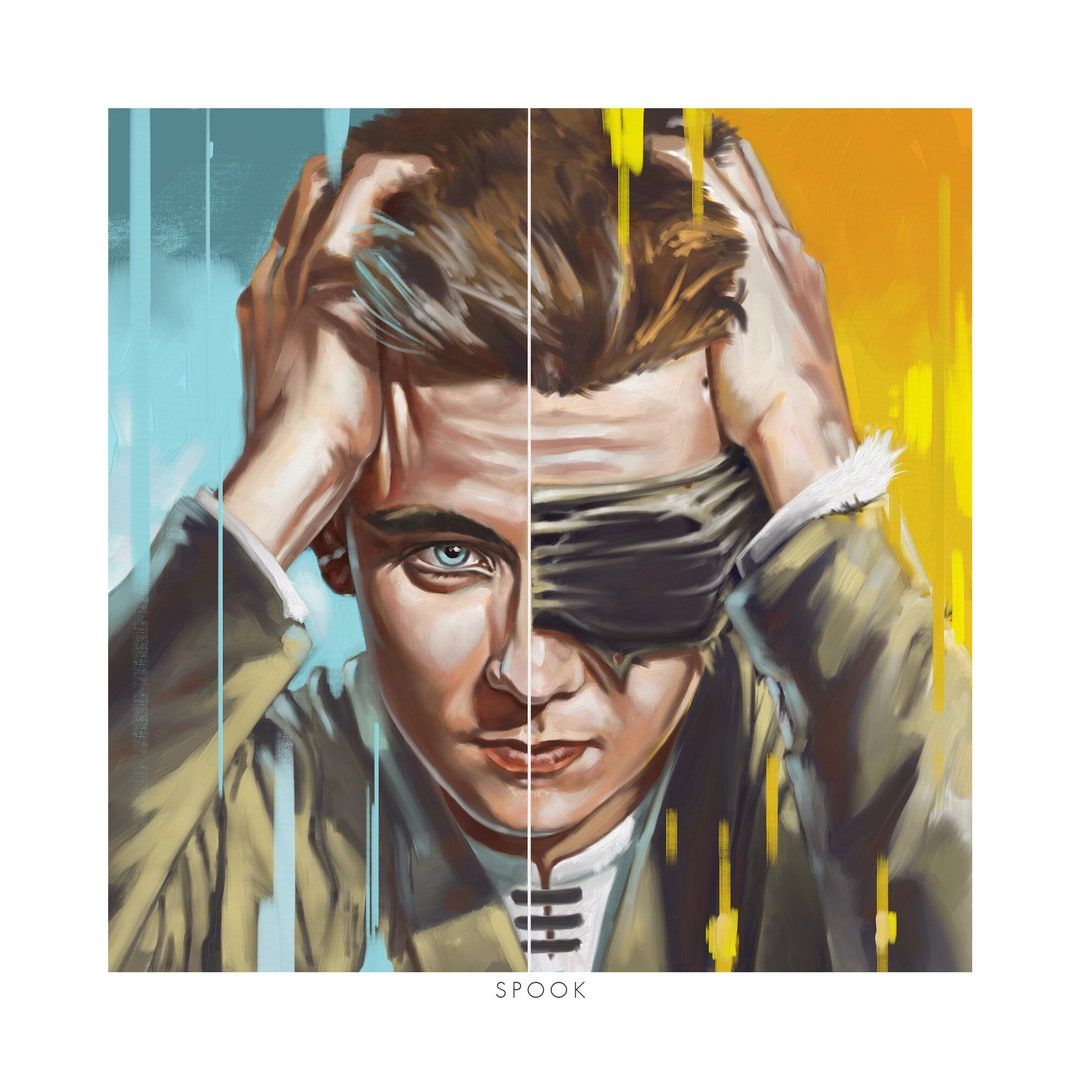 Mistborn Spook Mistborn Gift Brandon Sanderson Cosmere Fanart Art Print ...