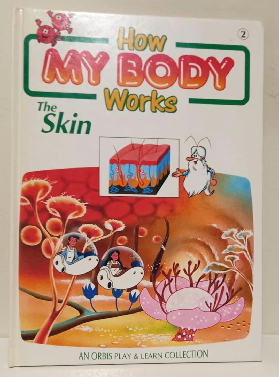 How My Body Works - the Skin - Hardcover - Vintage - VGC - Etsy
