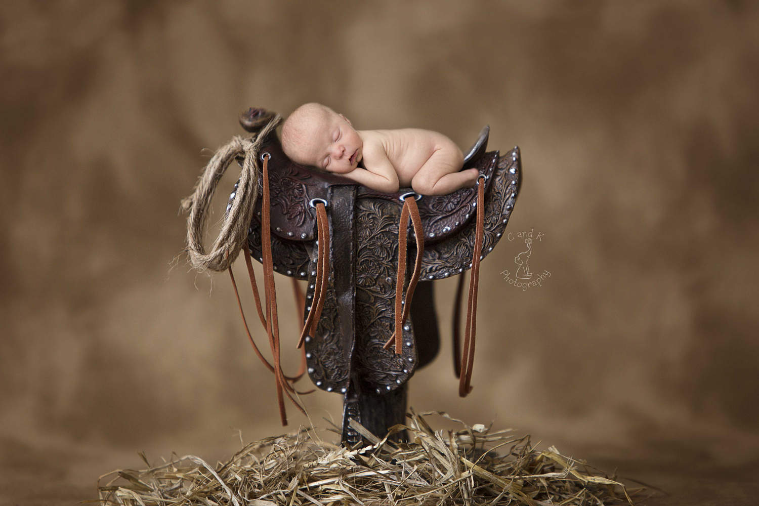 Western Newborn Digital Backdrop, Saddle Newborn Digital Backdrop - Etsy
