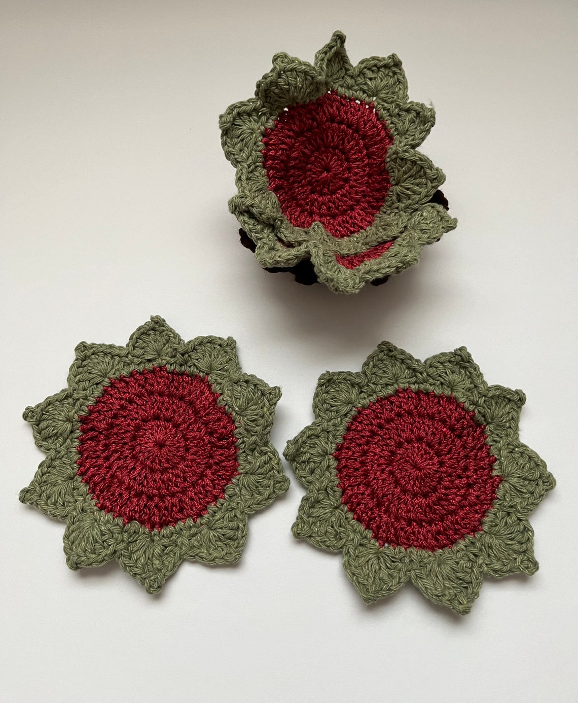 Succulent Coasters Plant Pot Set of 4 Convertible Home Decor Into ...