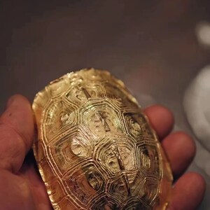 Silver Turtle-shell Like Tea Scoop With Long Tea Spoon for Serving ...